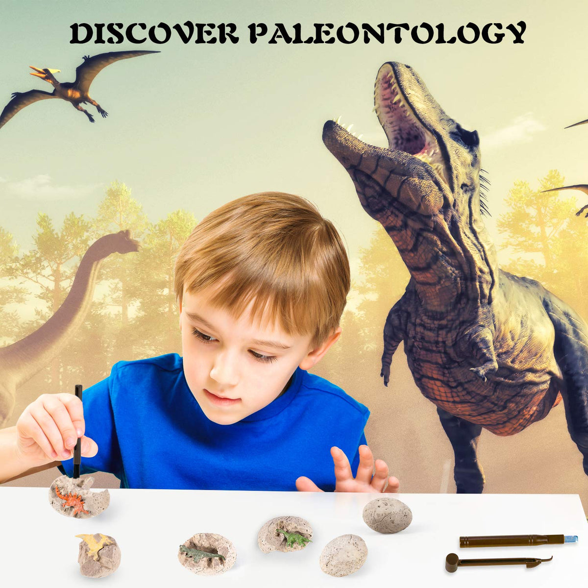 Premium STEM Fossil Digging Kit – Smart Kids Planet