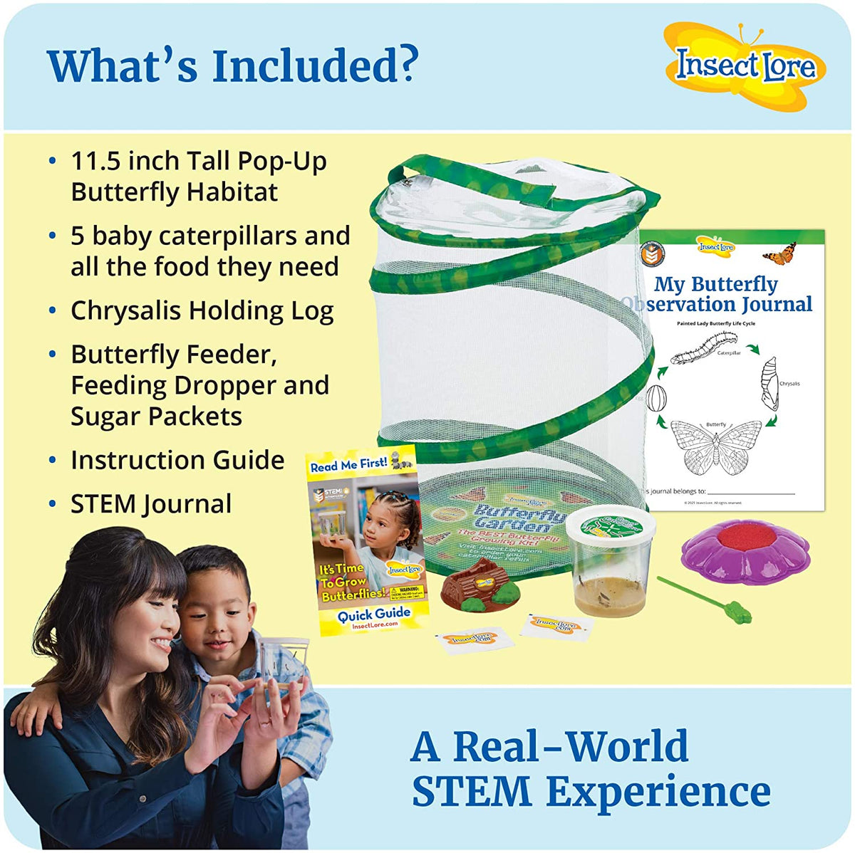 Butterfly Case STEM Observation – Smart Kids Planet