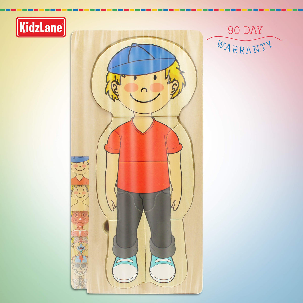 Human Body Puzzle - Boy Version – Smart Kids Planet